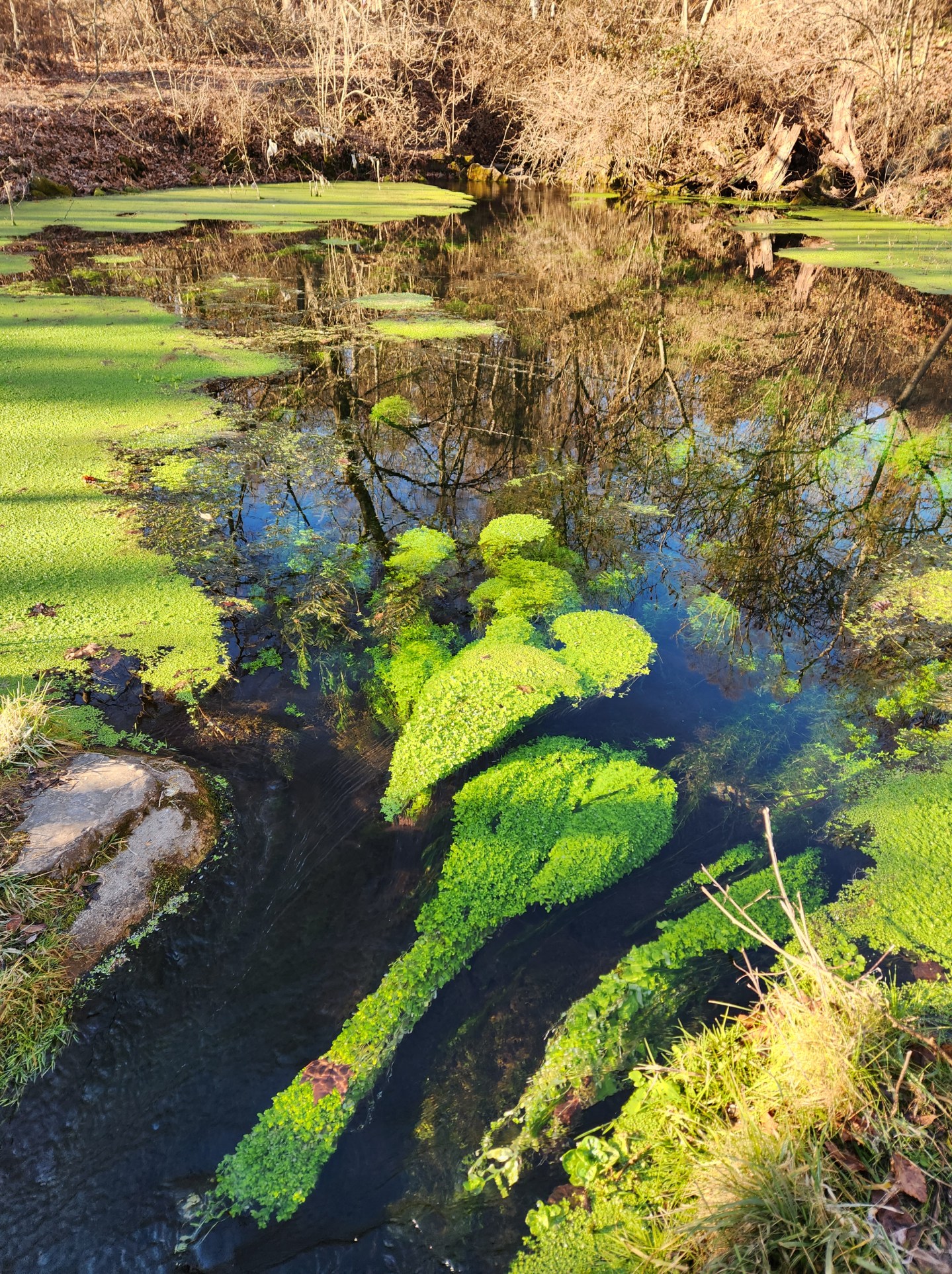 Aquetong Spring Park – The Nature of Delaware Valley
